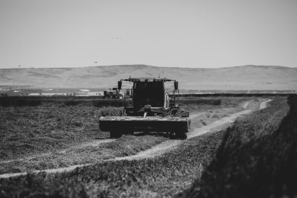 About - Anderson Hay