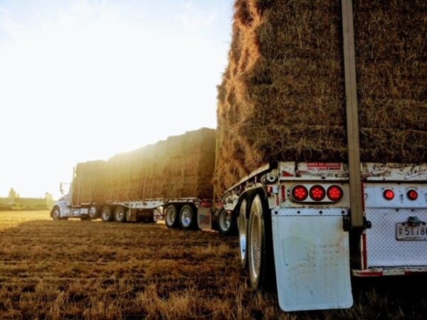 Straw Products - Rye Grass, Blue Grass, Orchard Grass, etc. | Anderson Hay